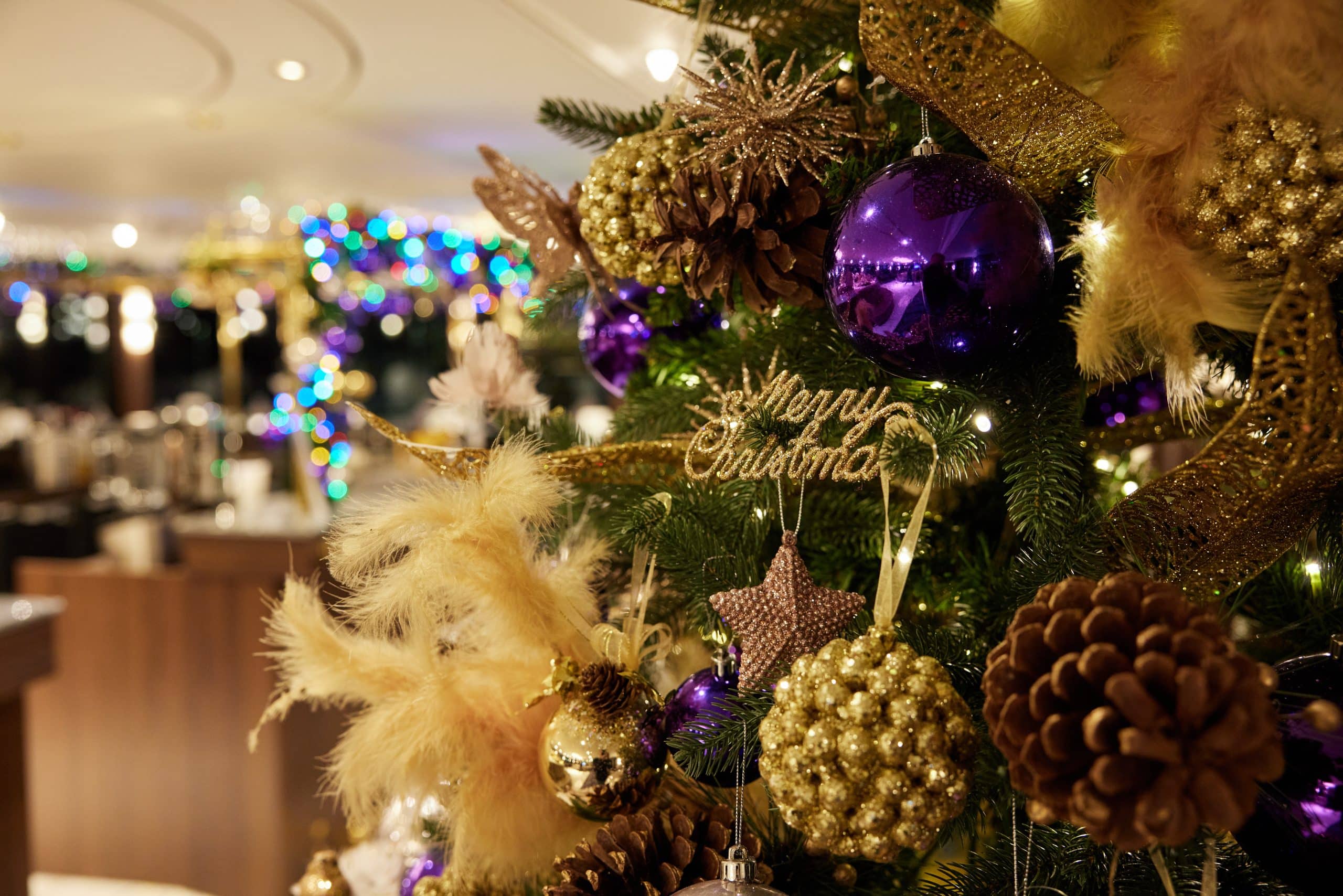 Normandy's Winter Wonderland | Whitestar